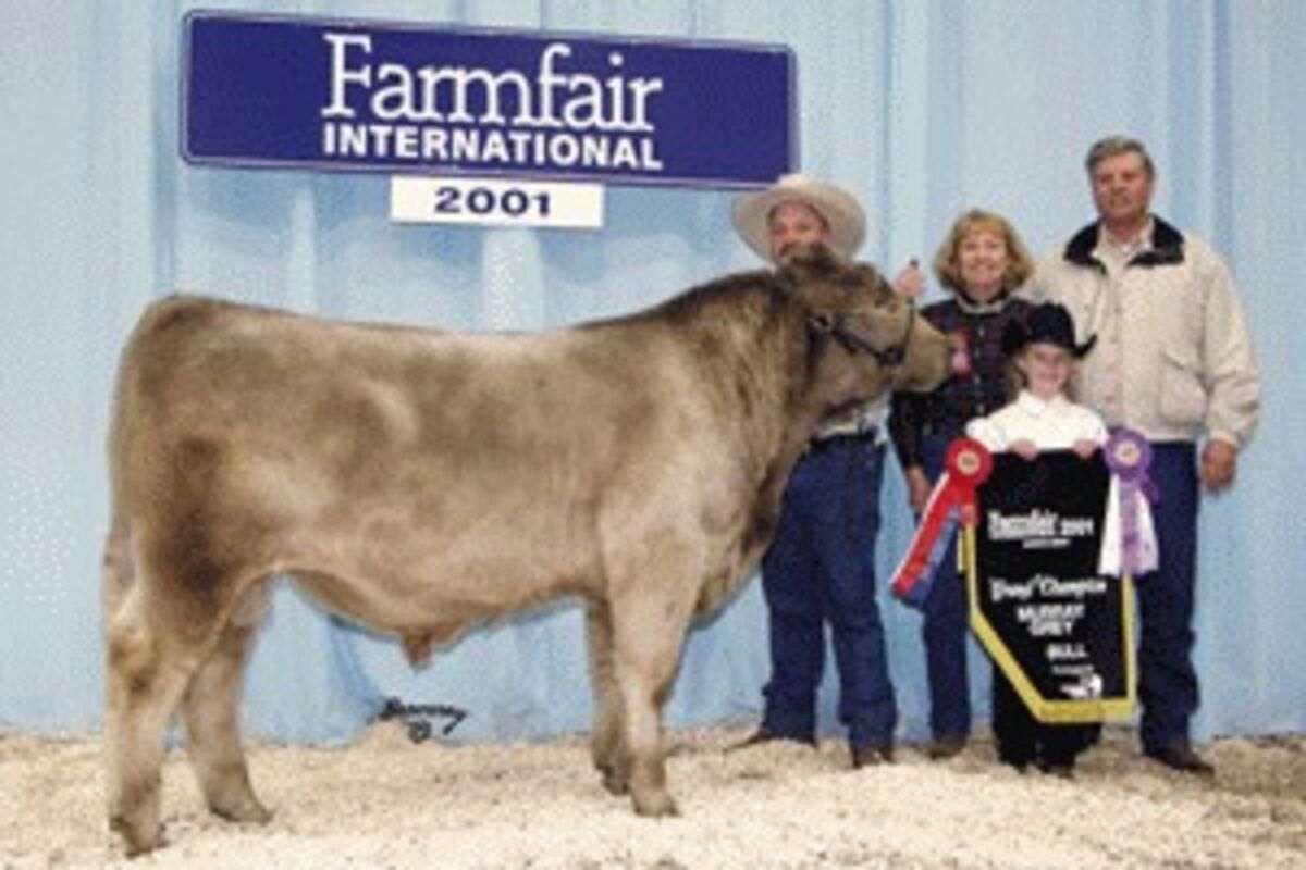S.H. couple owns U.S., Canadian champion bull - The New Era