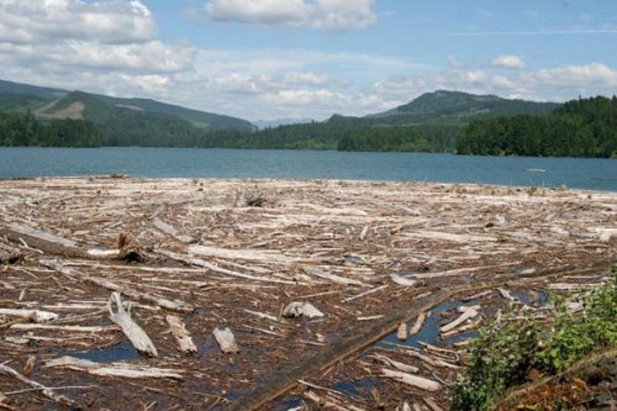 Officials weighing options on debris in Foster Lake - The New Era