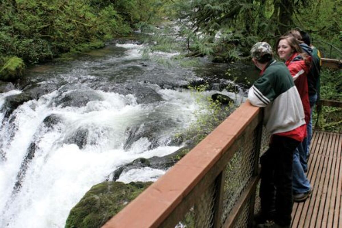 Students learn to deal with invasive species - The New Era