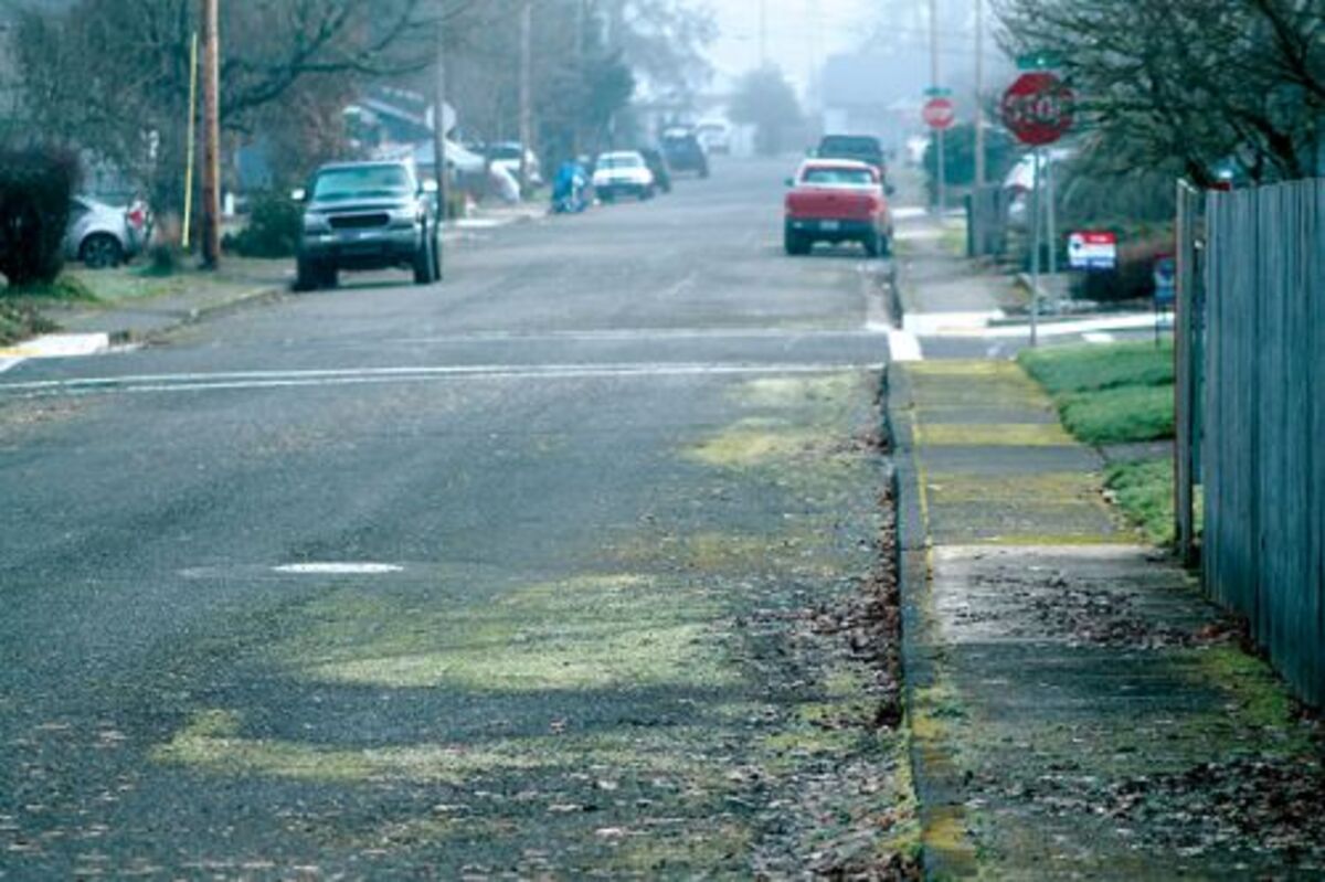 Watching – er, moss grow – may be more exciting, thanks to rain - The ...