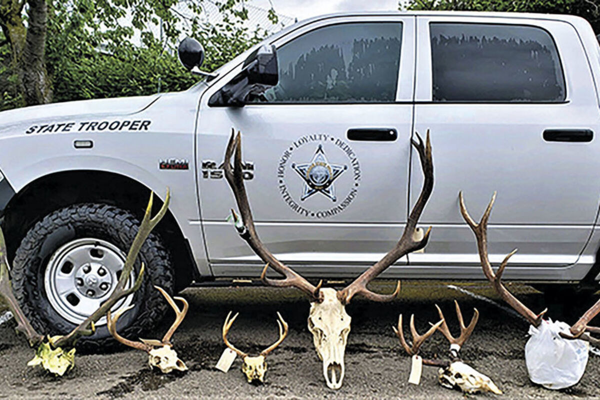 Four charged in big game poaching case after tip from citizen - The New Era