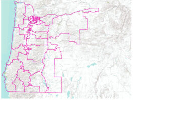 Legislature approves state redistricting maps - The New Era