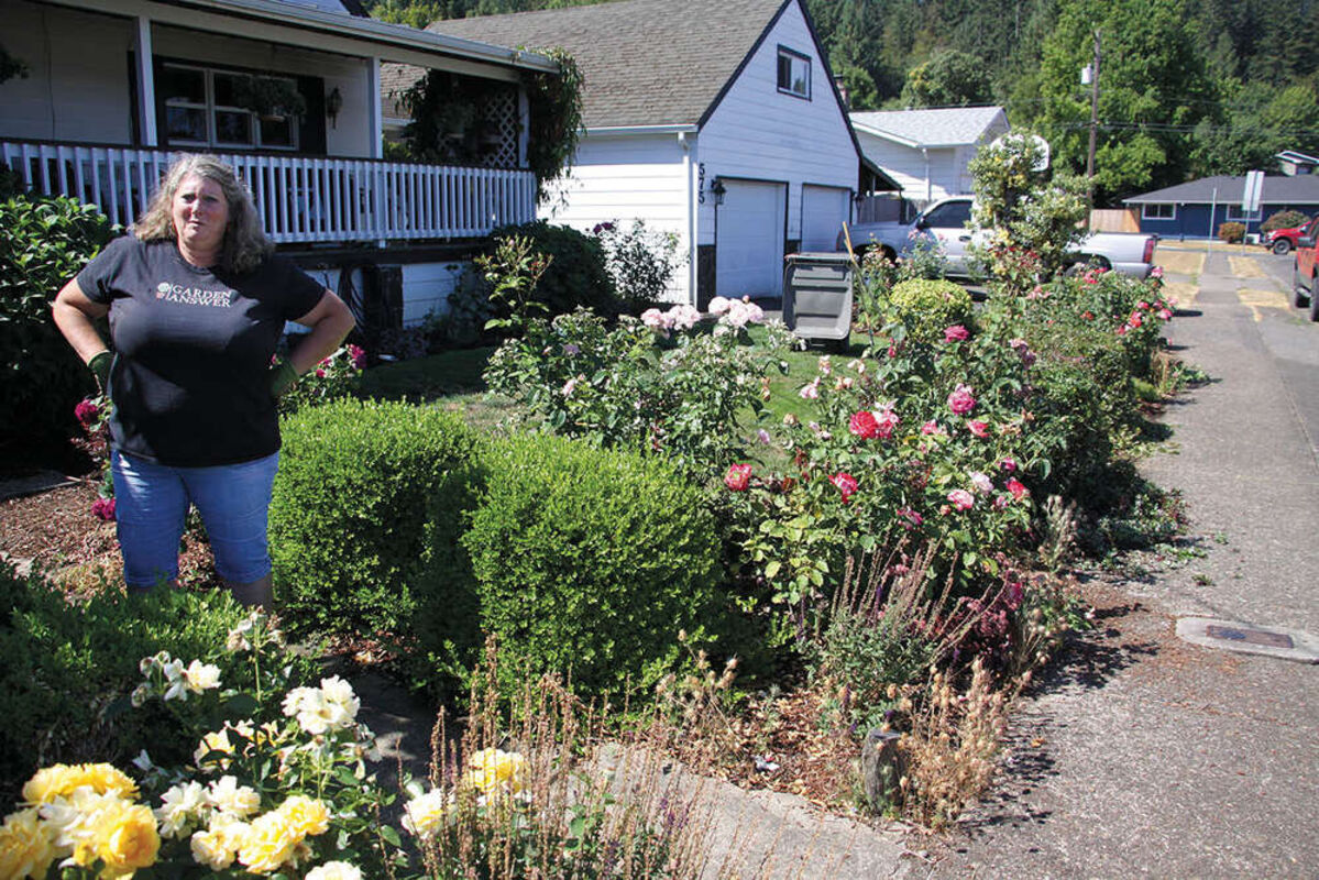 From trial-and-error to master gardener - The New Era