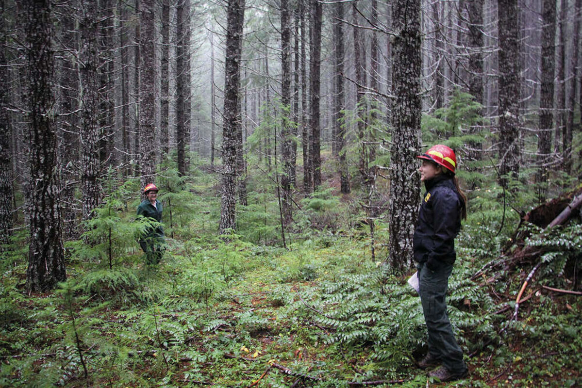 Thinning forests for the trees - The New Era