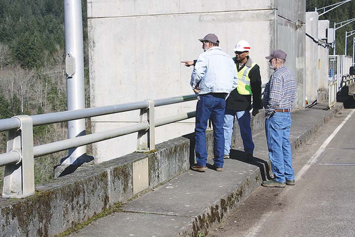 Biologist: New fish weir installed in Foster Dam will facilitate fish ...