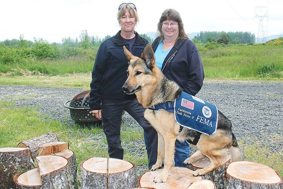 Local dog trainer plans to begin developing canines to detect health ...