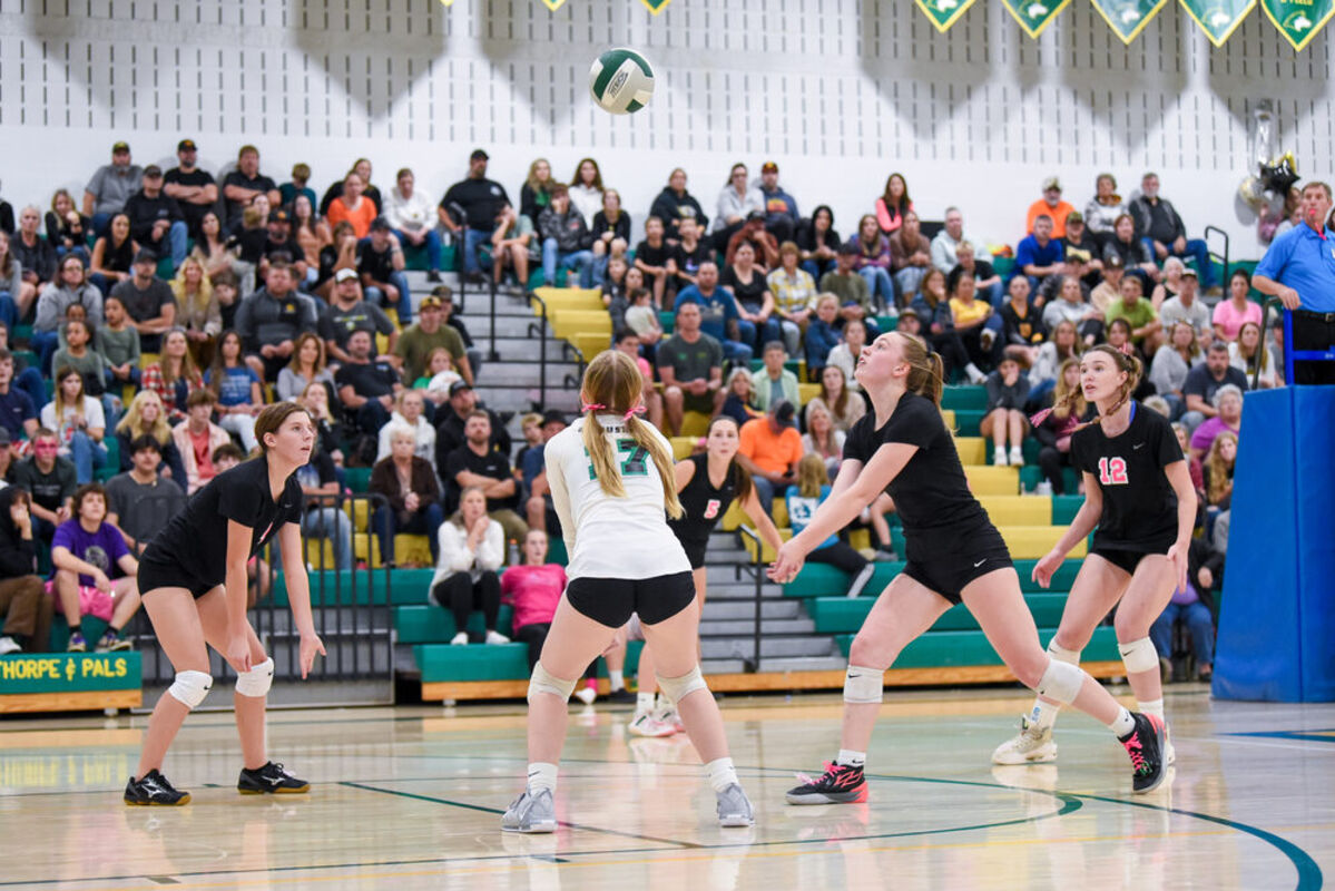 Sweet Home volleyball makes playoffs - The New Era