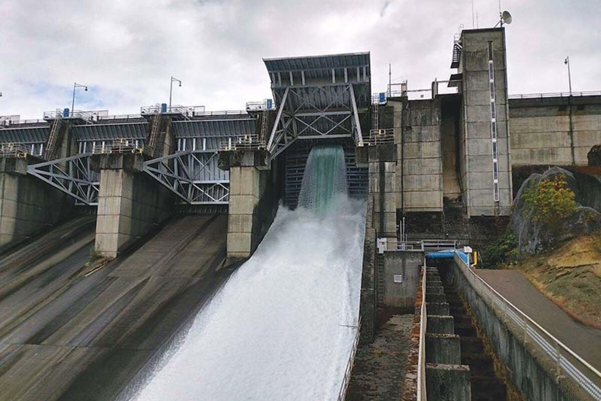 Foster fish weir working – mostly - The New Era