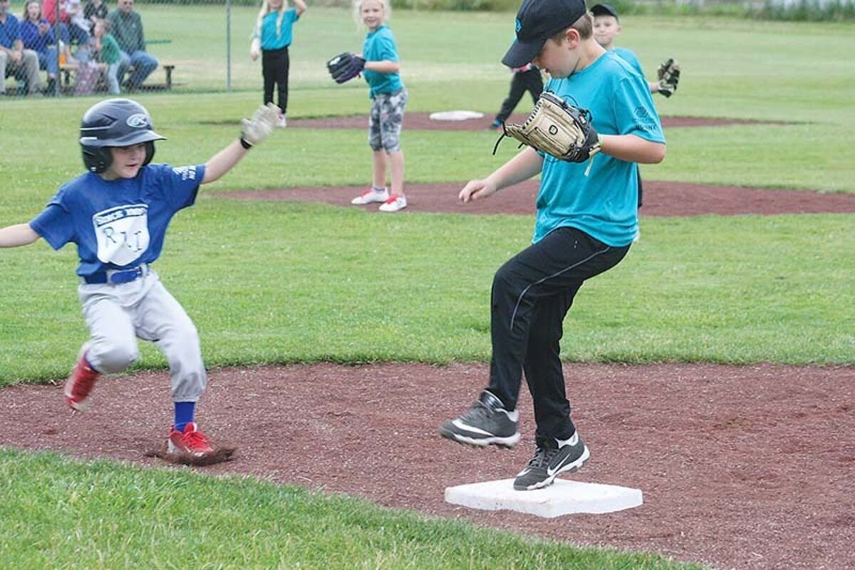 Coach-pitch fun - The New Era