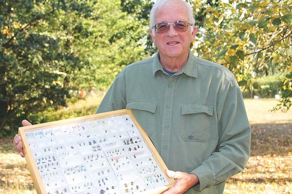 Retired insect scientist finds new career in preserving bees - The New Era