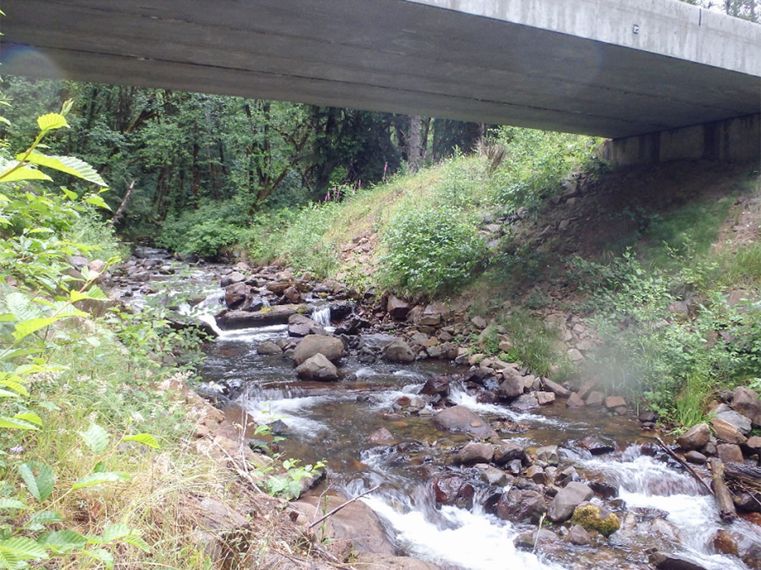 Funding Awarded to Replace Culverts, Assist Fish Passage - The New Era