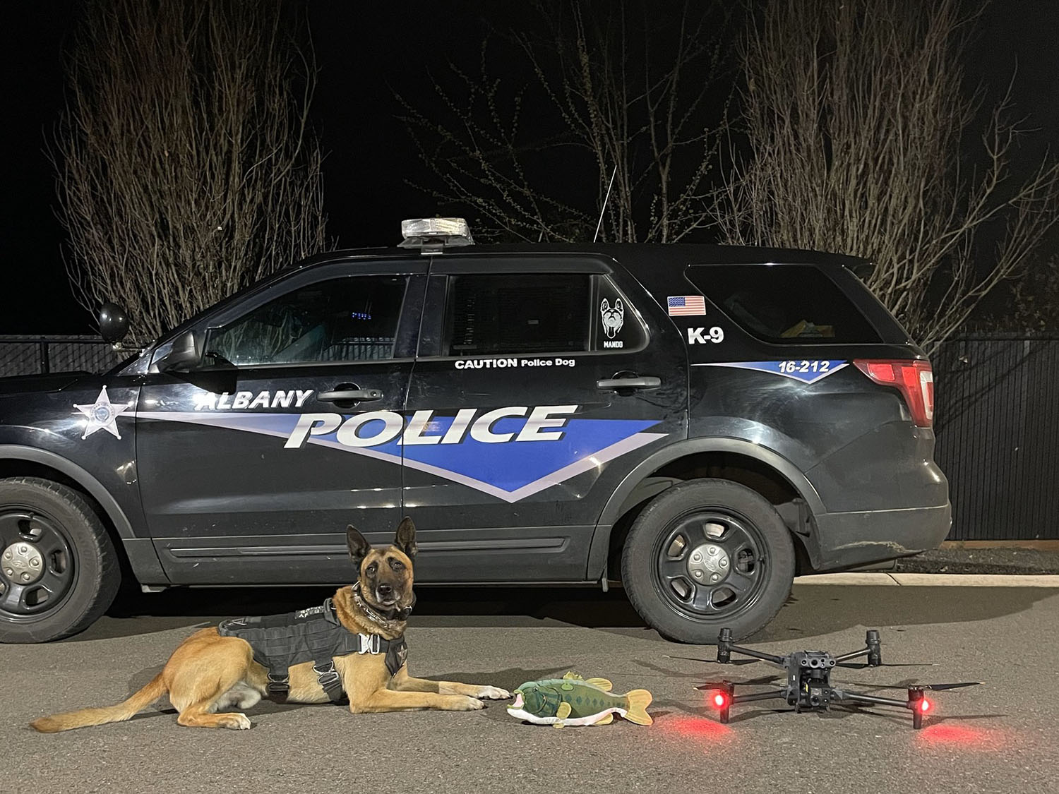 Two Sweet Home residents arrested following Brownsville burglary - The ...