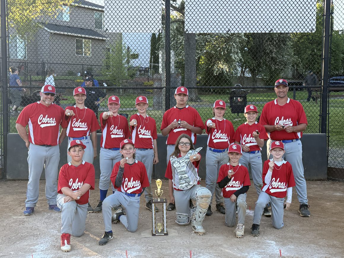 Cobras rebound to win baseball tournament - The New Era