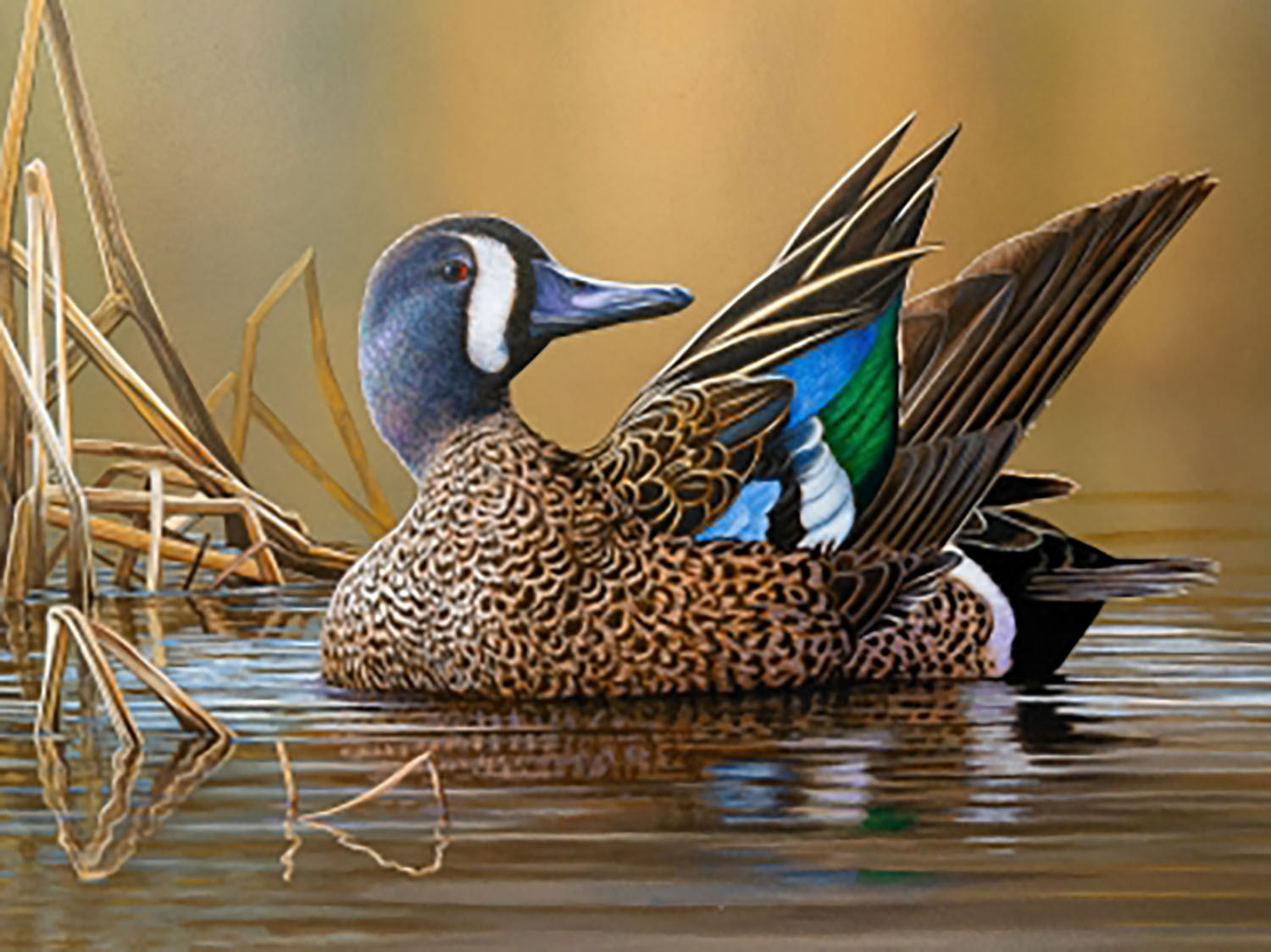 Artist winners announced in ODFW stamp competition - The New Era