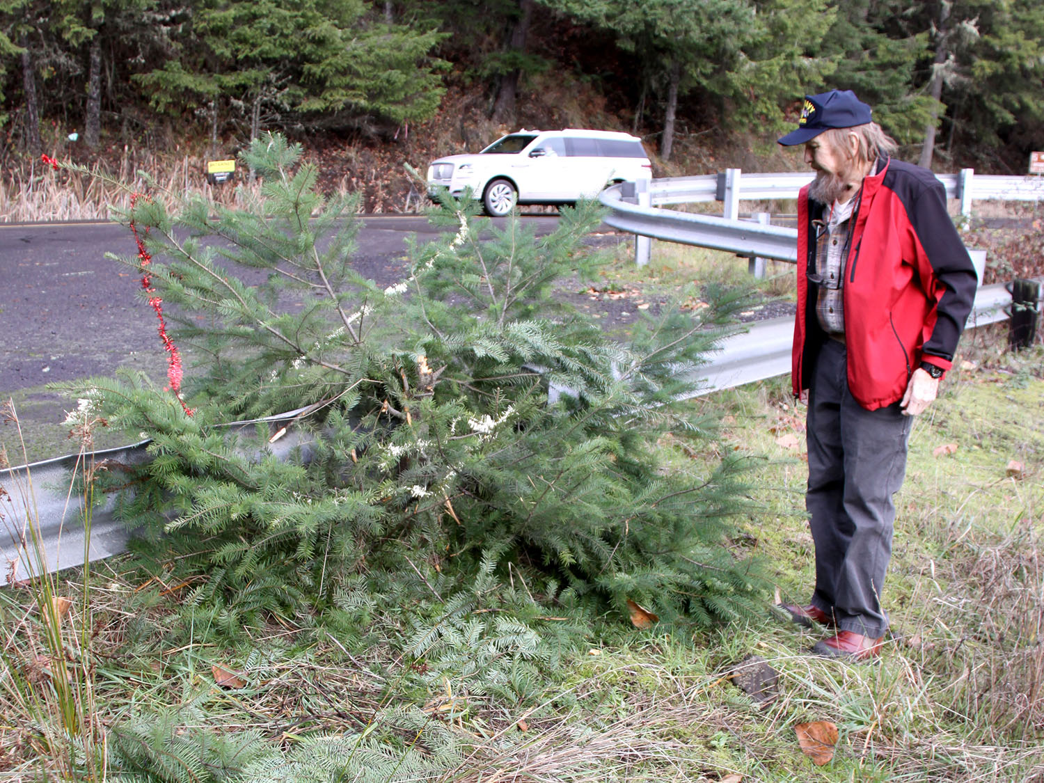 Effort to decorate tree for kids comes to bad end - The New Era