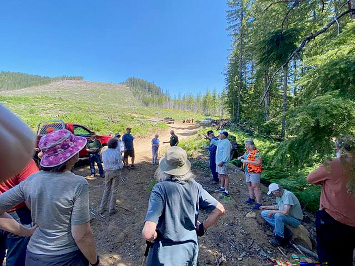 LCSWA slates woodland events, activities throughout 2026 - The New Era